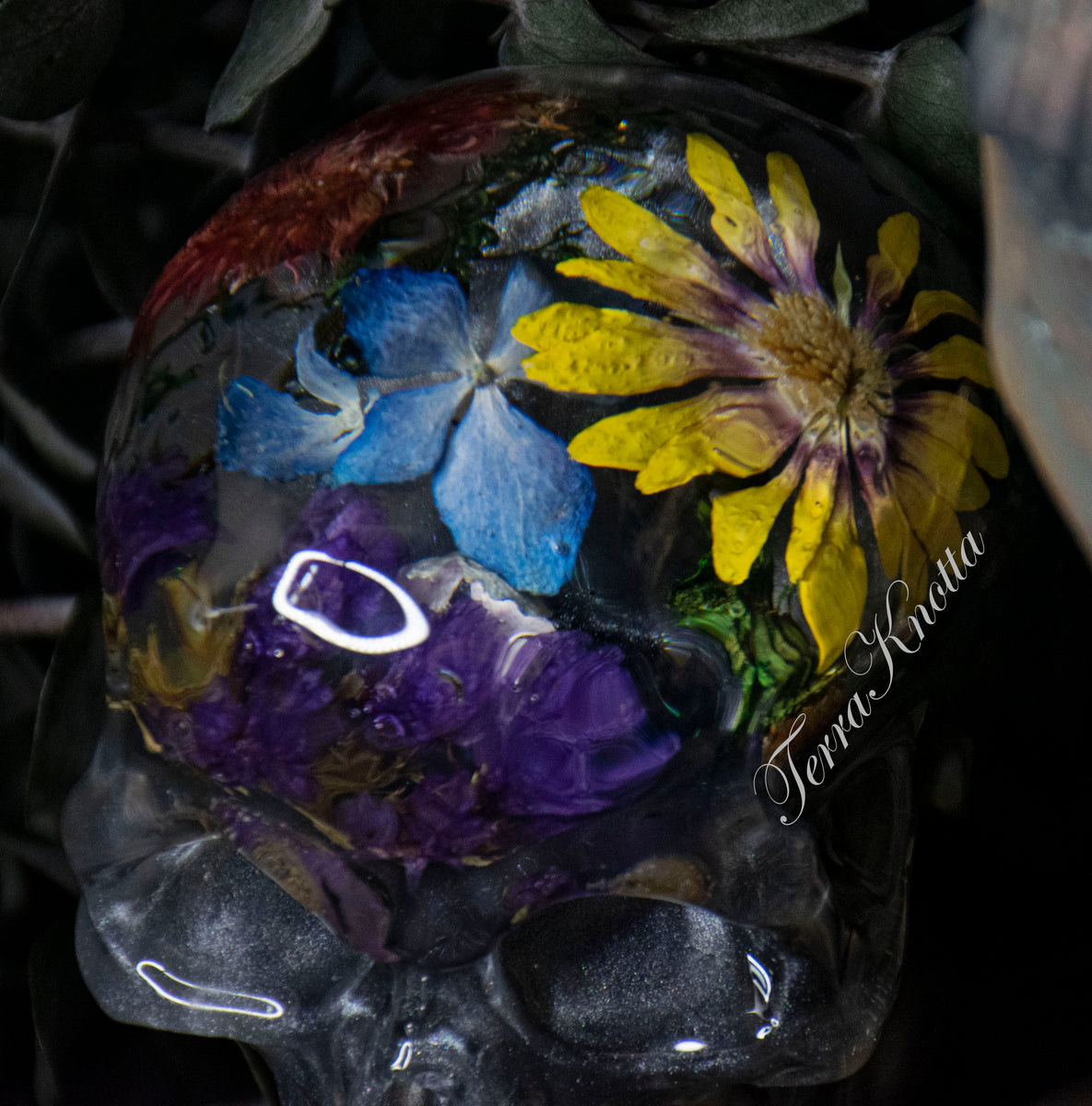 Flora – Page 2 – TerraKnotta